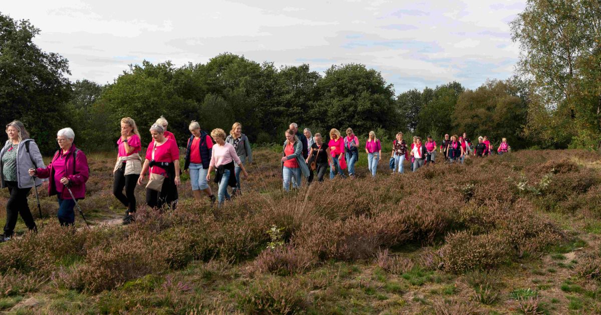 Pink Walk Westerbork 2025 | Home